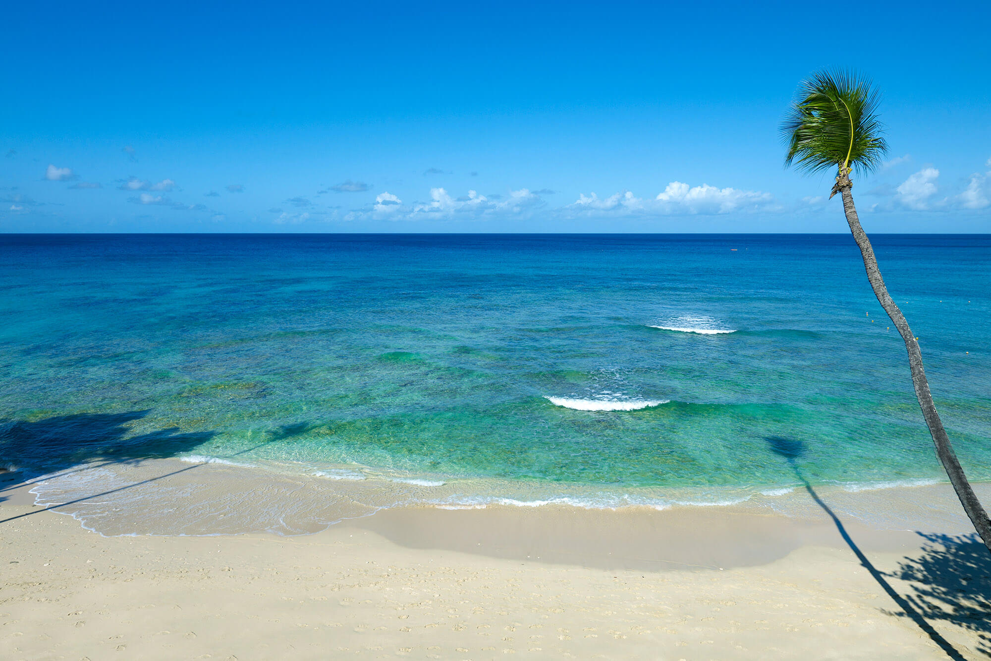 Classic Resorts | Tamarind by Elegant Resorts